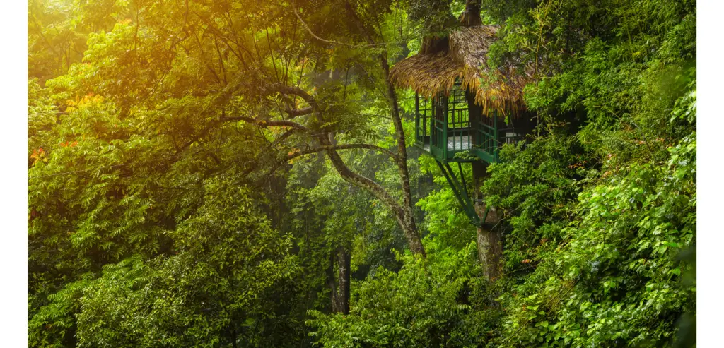 10 Off-Grid Communities That Are Waiting for Eco-friendly Residents ...