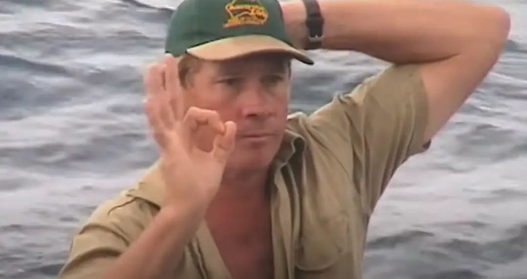 Rare Footage of Steve Irwin's Final Moments Surfaces on the 15th ...