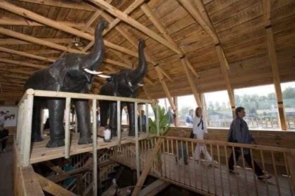This Man Built A Real Life Noah’s Ark And You Won’t Believe How ...
