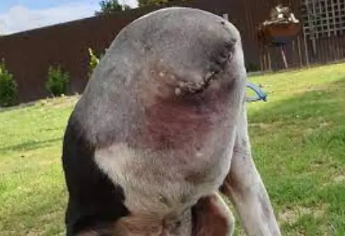 People Are Sharing The Photos That Made Their Stomach Drop In Fear ...