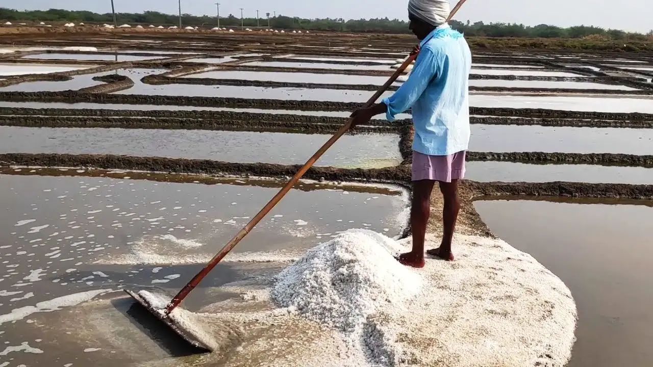 Shocking Statistic 98 Of Store Salt Contains Dangerous Hormone