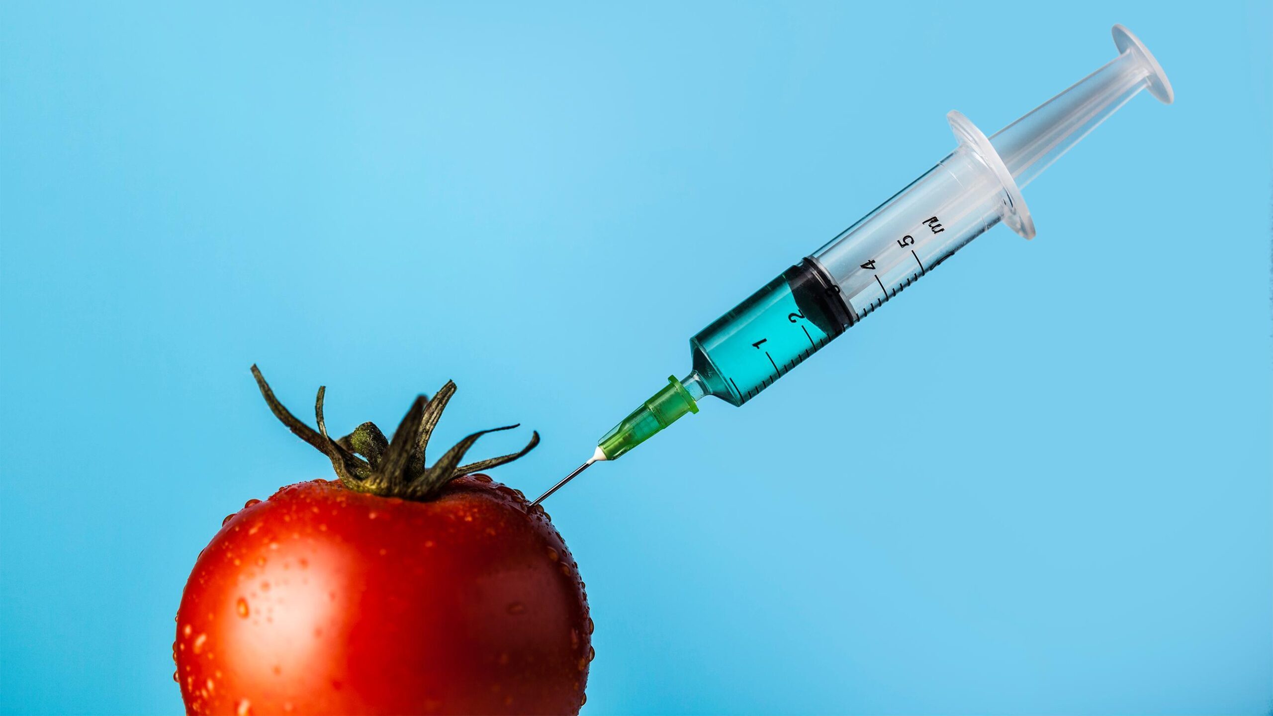 Hidden In Plain Sight: 74 Genetically Modified Ingredients That You ...