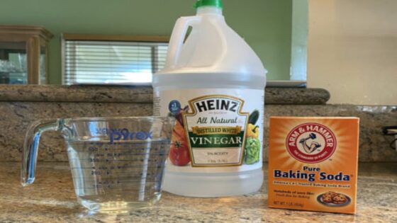 How To Use Baking Soda & Vinegar To Bust Through Any Clogged Drain in ...