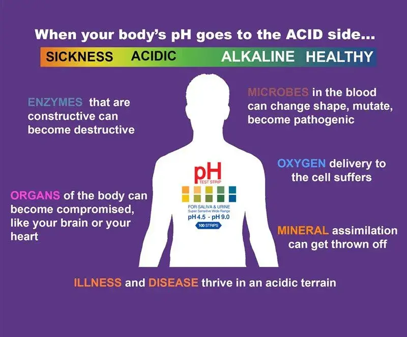 Cancer And Dis-Ease Thrive In An Acidic Environment, Here's How To ...