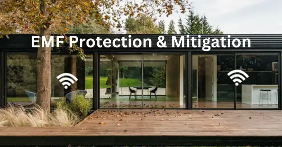 Internal vs. External EMF & Radiation Protection - Which is Best ...